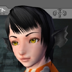 PSO-World.com - Guides - Character Creation: Beast Female