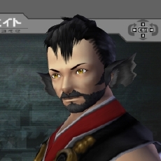 PSO-World.com - Guides - Character Creation: Beast Male